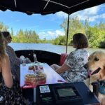 Dolphin Boat Tour in Vero Beach - Final Thoughts: An Authentic Vero Beach Experience