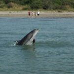 Dolphin Encounter - The Sum Up: Who Is This Tour Best For?