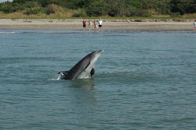 Dolphin Encounter - The Sum Up: Who Is This Tour Best For?