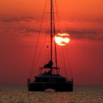 Dolphin Morning Watching & Snorkeling + open bar + 1 day Hop-On Hop-Off Fun - Authentic Feedback from Travelers