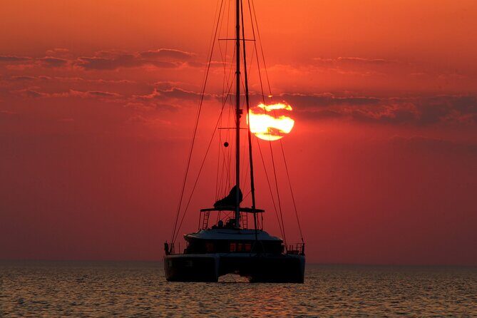 Dolphin Morning Watching & Snorkeling + open bar + 1 day Hop-On Hop-Off Fun - Authentic Feedback from Travelers