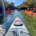 Dolphin Sanctuary and Ships Graveyard Kayak Tour - Who Should Book This Tour?