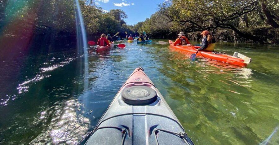Dolphin Sanctuary and Ships Graveyard Kayak Tour - Who Should Book This Tour?