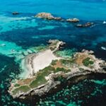 Dolphin, Sealion & Wildlife Snorkel Adventure - How the Tour Completes a Day in Perth