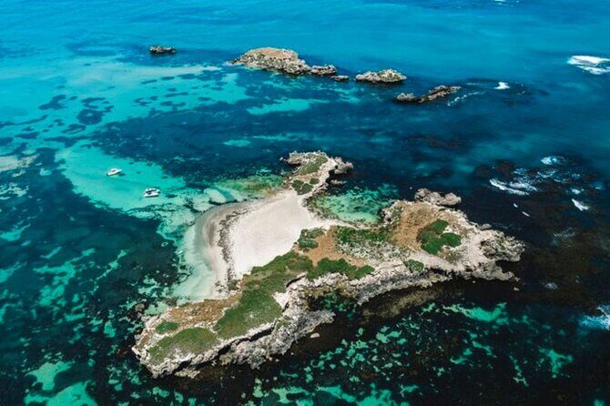 Dolphin, Sealion & Wildlife Snorkel Adventure - How the Tour Completes a Day in Perth