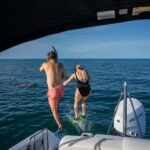 Dolphin & Snorkeling Key West - The Itinerary: What’s Included and What You’ll Experience