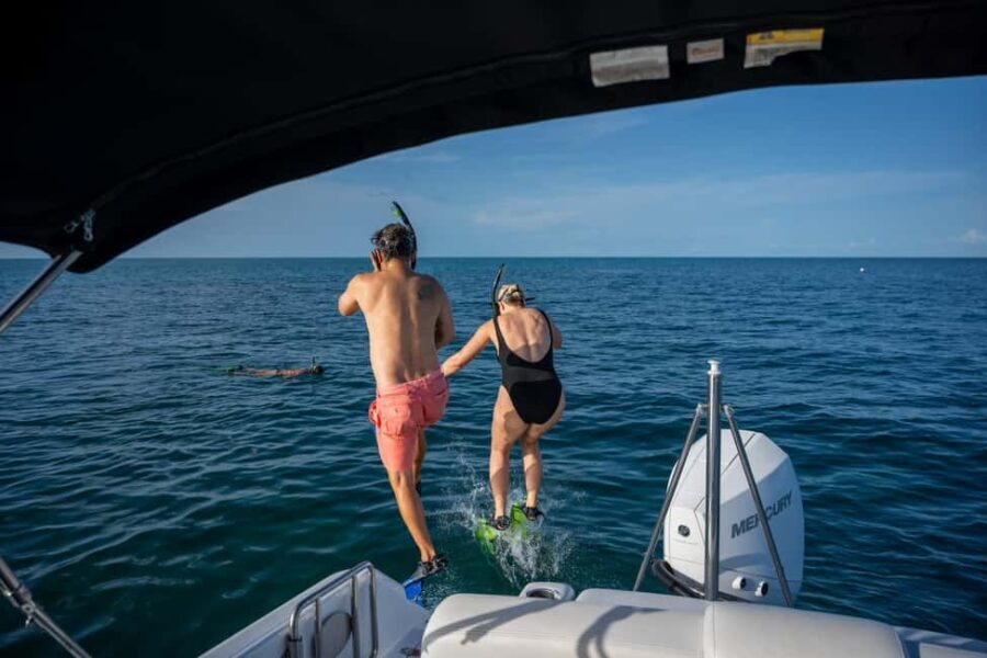 Dolphin & Snorkeling Key West - The Itinerary: What’s Included and What You’ll Experience