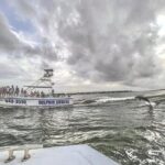 Dolphin Watching aboard the Cold Mil Fleet - Who Is This Tour Best For?