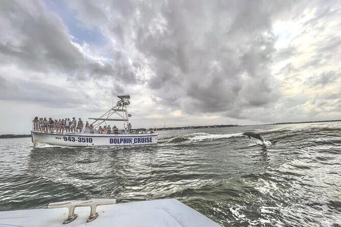 Dolphin Watching aboard the Cold Mil Fleet - Who Is This Tour Best For?