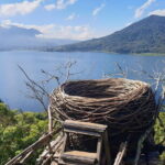 Dolphin Watching at Lovina Beach and North Bali Sightseeing Tour - What Travelers Say