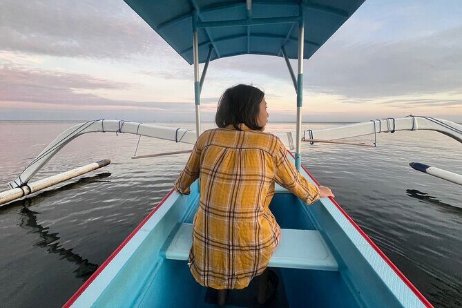Dolphin Watching Experience at North Bali - Who Will Love This Tour?