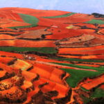 Dongchuan red earth start from Kunming - The Sum Up: Is This Tour Worth It?