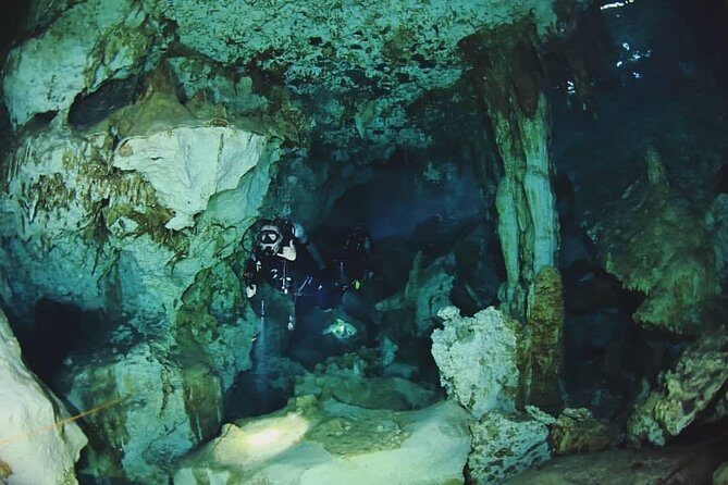 Dos Ojos Cenote Cavern Dive- The Barbie Line and The Bat Cave - Why Choose This Tour?