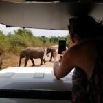 Down south Galle tour - Who Will Enjoy This Tour?