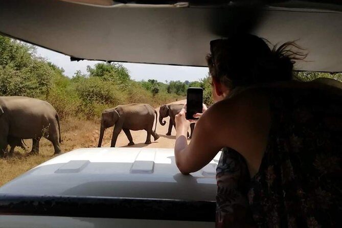 Down south Galle tour - Who Will Enjoy This Tour?