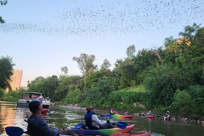 Downtown Houston Bat and Skyline Kayaking Tour - Why Choose This Tour?