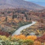 Driving Support in Akita - FAQs