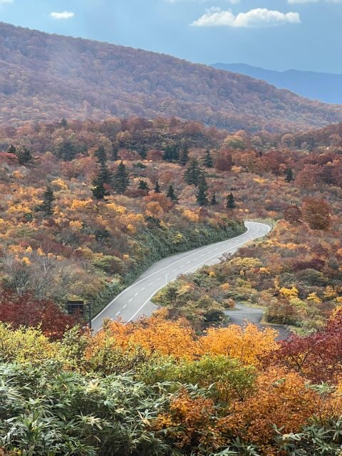 Driving Support in Akita - FAQs