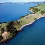 Duder Regional Park Half-Day Walking Tour - Discovering Native Forests and Unique Coastal Ecosystems