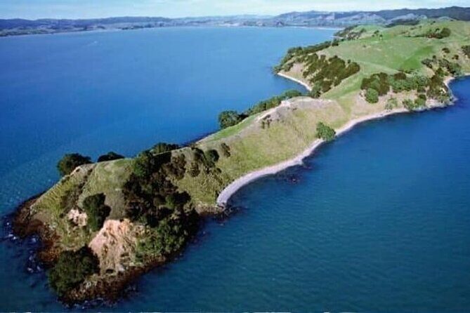 Duder Regional Park Half-Day Walking Tour - Discovering Native Forests and Unique Coastal Ecosystems