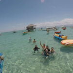 Dumaguete: Dolphin Watching & Manjuyod Sandbar Private Tour - What to Expect: An In-Depth Look