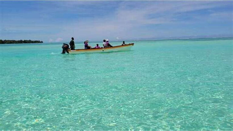 Dumaguete Manjuyod sand bar & Dolphin Watching - What to Expect: A Closer Look at the Day