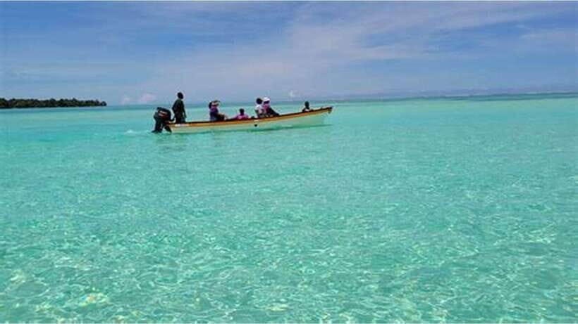 Dumaguete Manjuyod sand bar & Dolphin Watching - What to Expect: A Closer Look at the Day
