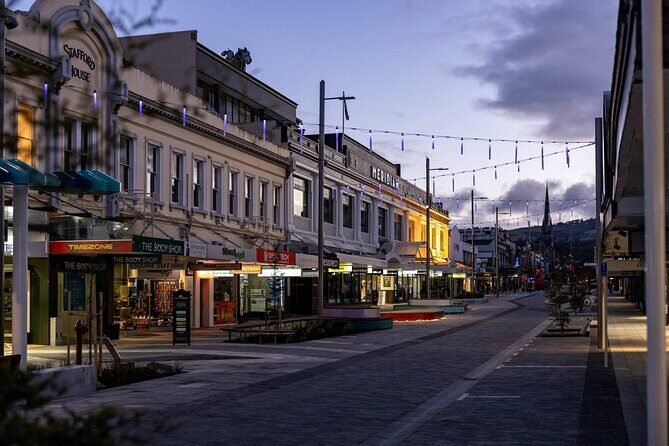 Dunedin 4 Hrs halfday Private Tour - Why Choose This Tour?