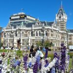 Dunedin and Otago Peninsula Tours For Up To 4 people - Who Will Benefit Most from This Tour?