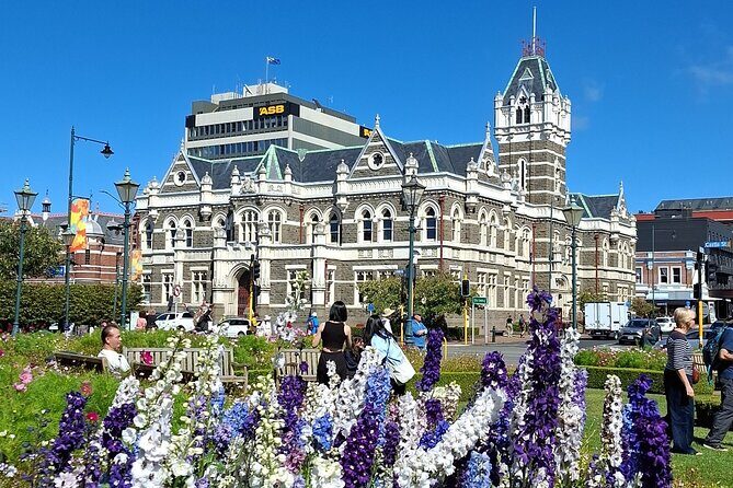 Dunedin and Otago Peninsula Tours For Up To 4 people - Who Will Benefit Most from This Tour?