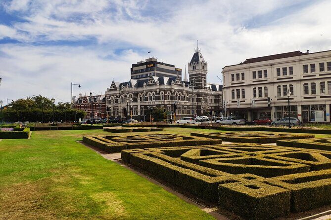 Dunedin City and Coastal Views 3-Hour Small-Group Guided Tour - An In-Depth Look at What This Tour Offers