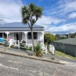 Dunedin City Highlights & Larnach Castle Tour - Delving into Unique Dunedin Sights