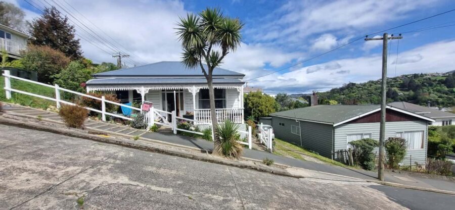 Dunedin City Highlights & Larnach Castle Tour - Delving into Unique Dunedin Sights