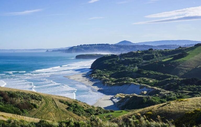 Dunedin City & Otago Peninsula Scenery Day Tour - The Itinerary Breakdown