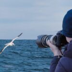 Dunedin City to Sea Wildlife Cruise + Peninsula Bus Tour - The Harbour Cruise