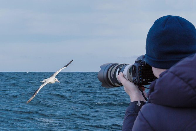 Dunedin City to Sea Wildlife Cruise + Peninsula Bus Tour - The Harbour Cruise