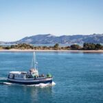 Dunedin: Monarch - One Hour Wildlife Cruise - Who Should Consider This Tour?