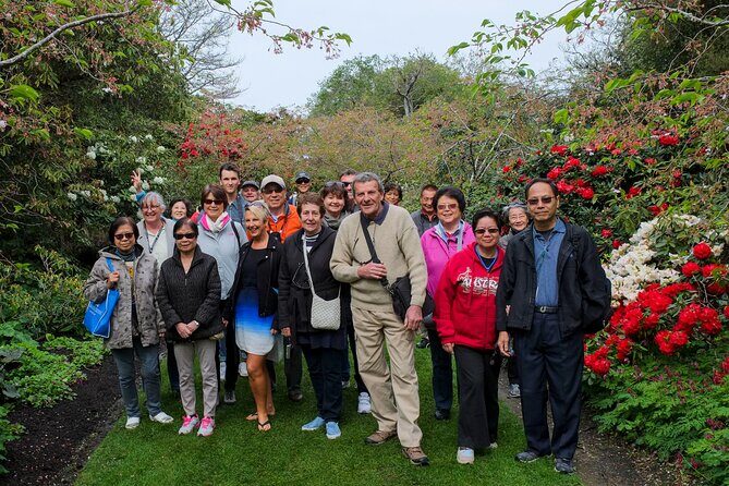 Dunedin Private Tour: City Sights & Otago Peninsula - The Itinerary: A Deep Dive