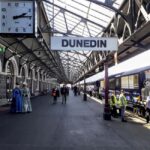 Dunedin: Small Group City Highlights Tour - Who Is This Tour Best Suited For?