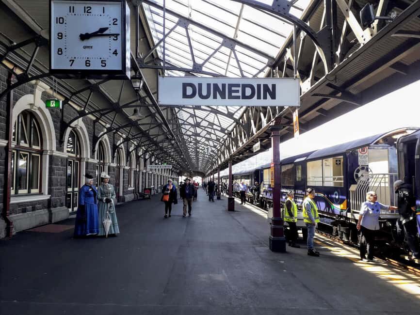 Dunedin: Small Group City Highlights Tour - Who Is This Tour Best Suited For?