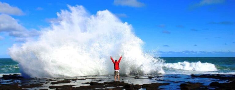 Dunedin to Invercargill via the Catlins (one-way tour) - Nugget Point and the Iconic Lighthouse