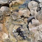 Dunsborough: Geographe Bay Eco & Snorkel Boat Tour - Authenticity and Value