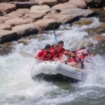 Durango 3/4 Day Rafting Trip with Lunch - Lower Animas River - What to Expect from the Trip