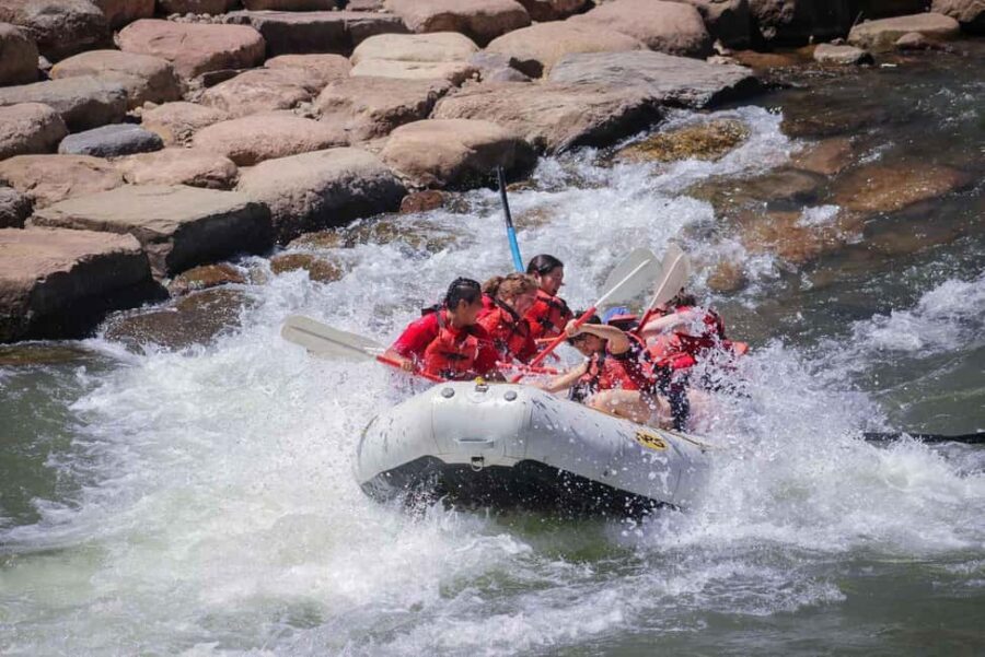 Durango 3/4 Day Rafting Trip with Lunch - Lower Animas River - What to Expect from the Trip