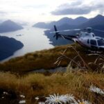 Dusky Sound // Helicopter Scenic Flight - In The Sum Up: Is This Tour Worth It?