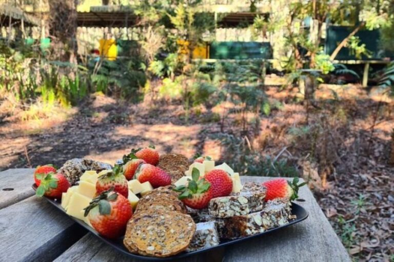 Dwellingup: Guided Hike and Scenic Train Ride with Lunch - How the Day Unfolds: Itinerary Breakdown