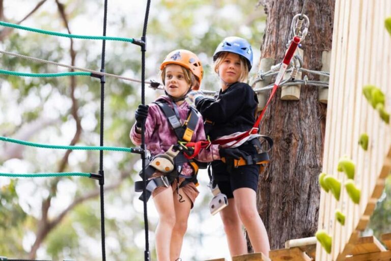 Dwellingup: Junior Tree Ropes Course