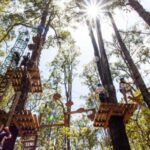 Dwellingup: Tree Ropes Course - Practical Tips for Visitors