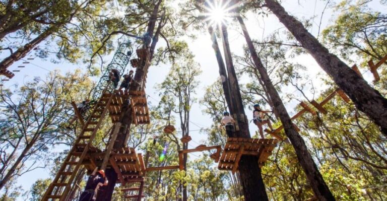 Dwellingup: Tree Ropes Course - Practical Tips for Visitors