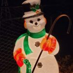 Dyker Heights Christmas Tour: Magic of Christmas in New York - What You Can Expect from the Tour